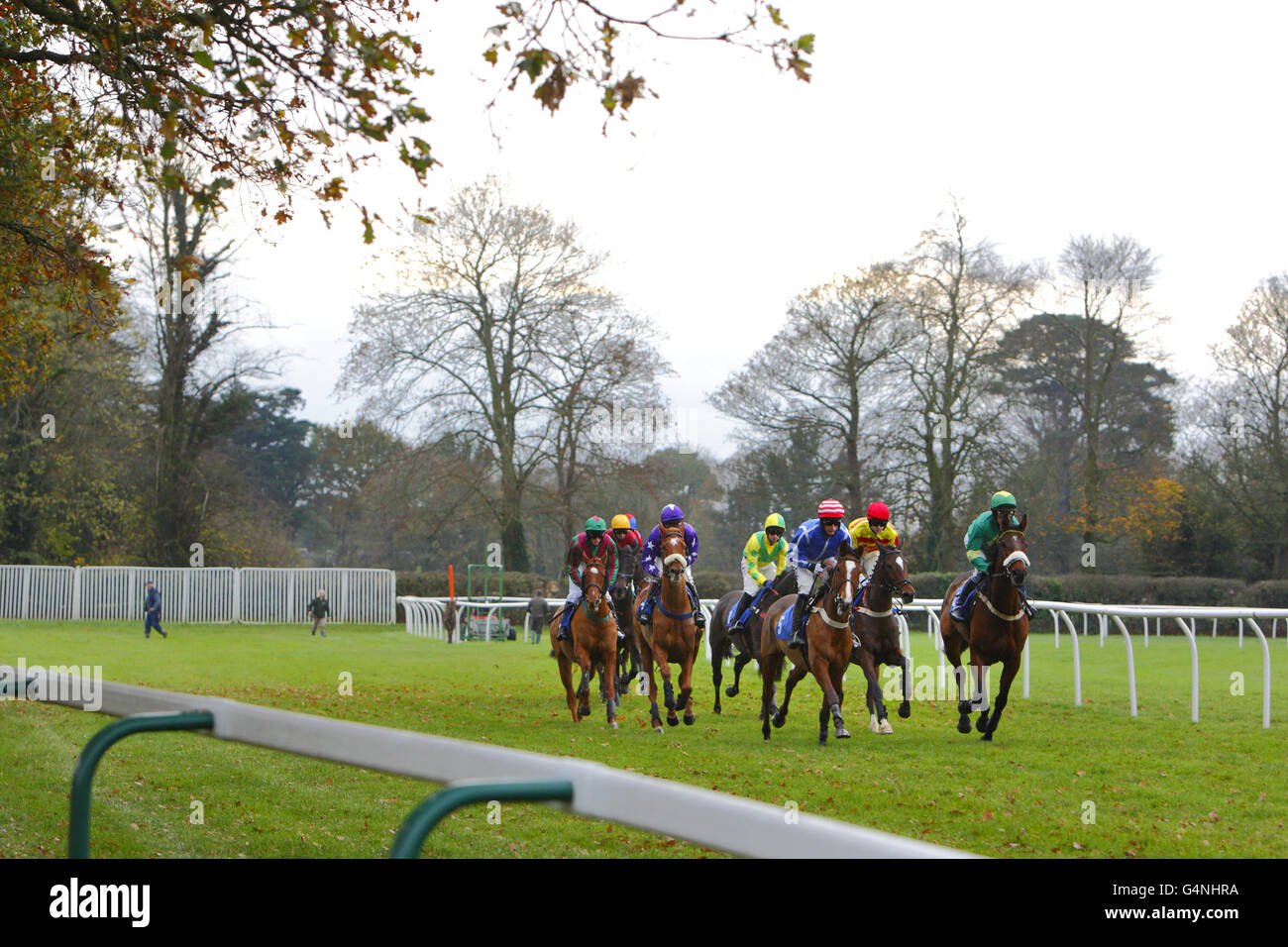 Horse Racing - Fontwell Racecourse Stock Photo - Alamy
