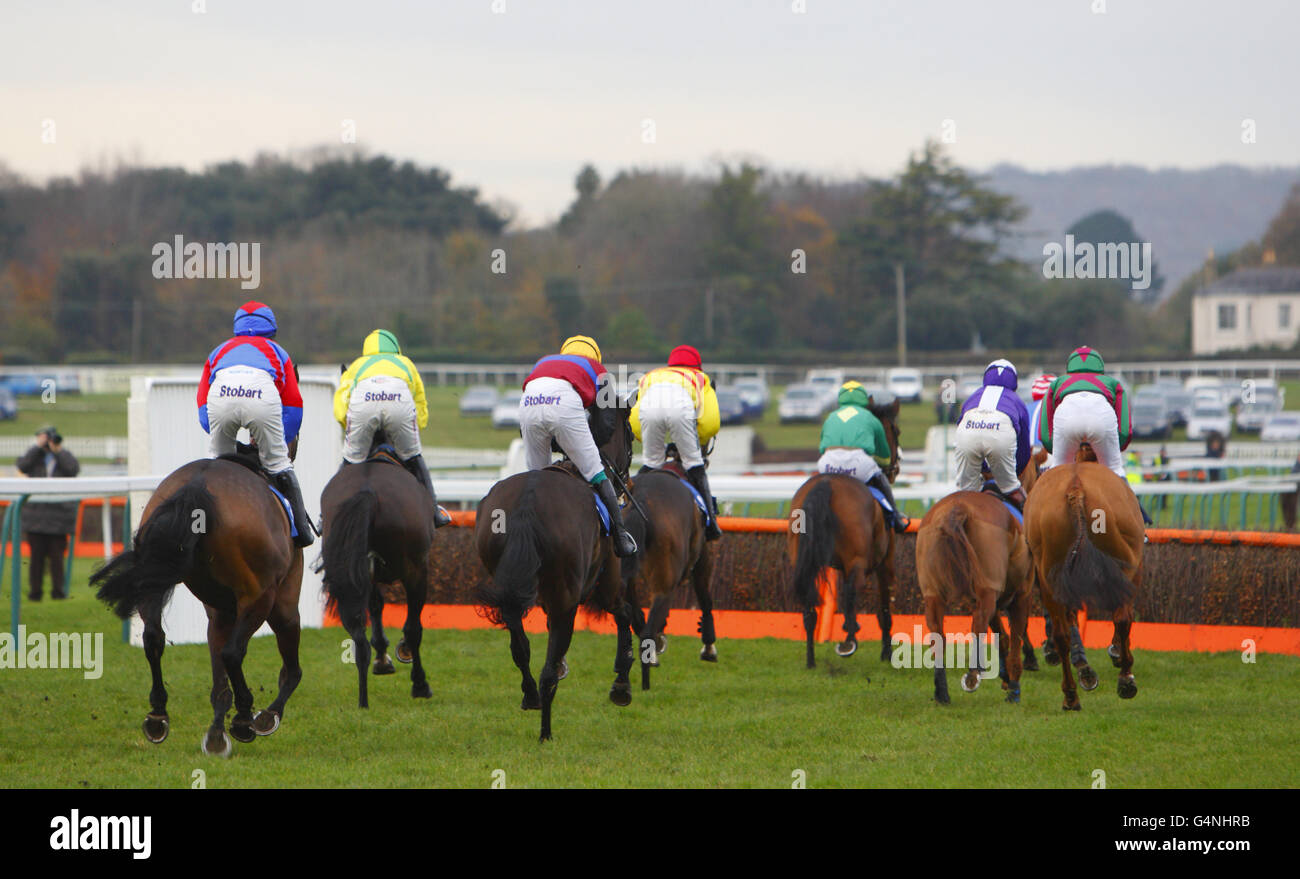 Racing from fontwell hi-res stock photography and images - Alamy