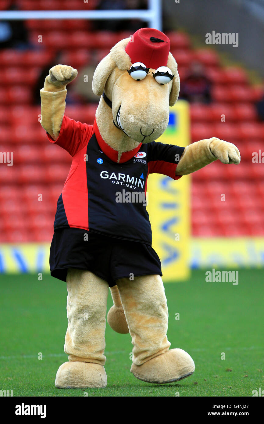 Sarrie the camel hi-res stock photography and images - Alamy