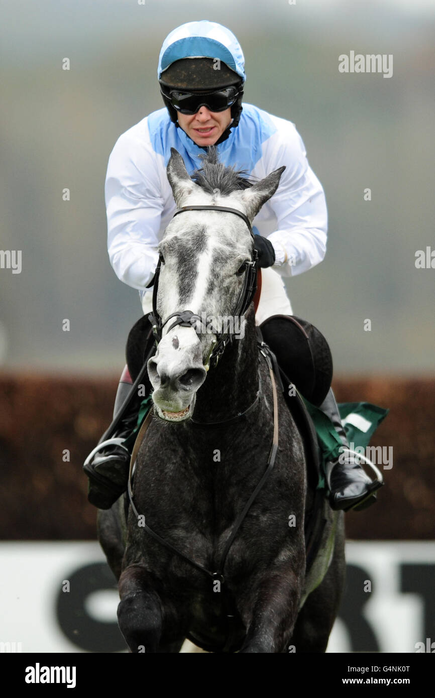 Arctic ampics hi-res stock photography and images - Alamy