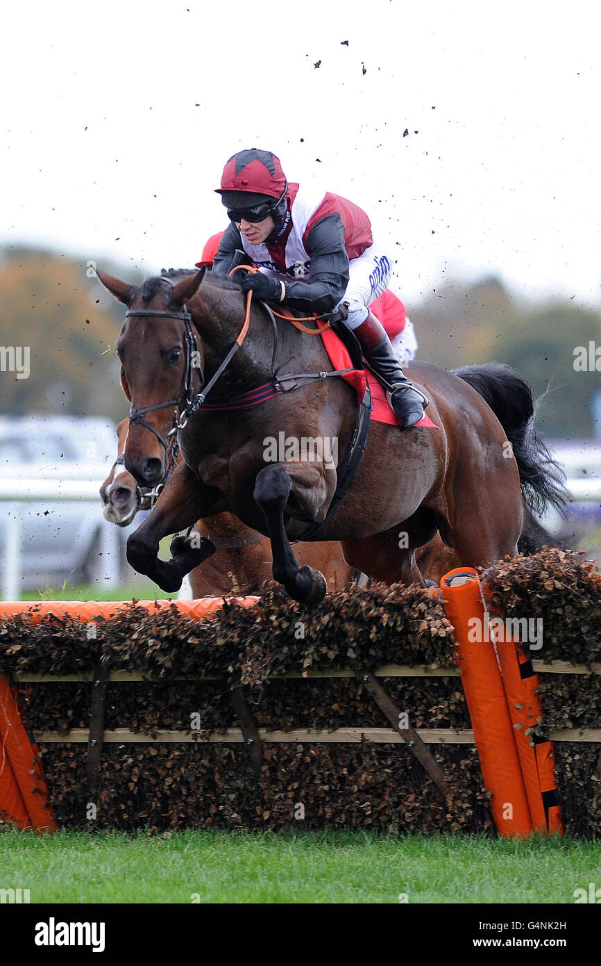 Horse Racing - Kempton Park Racecourse Stock Photo - Alamy