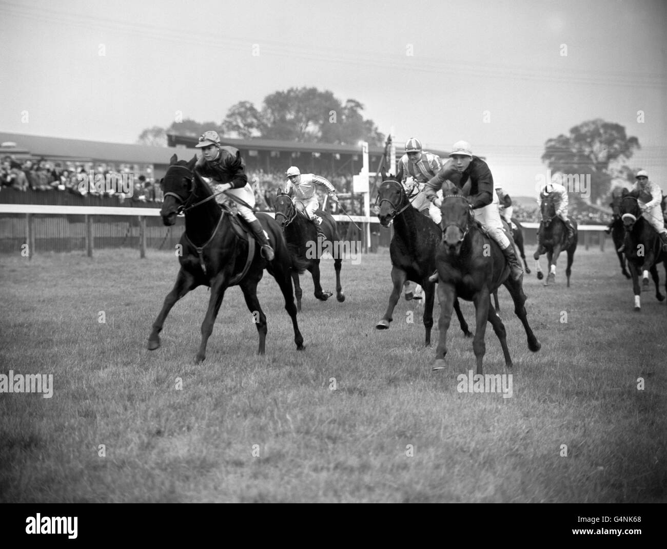 Horse racing at the alexandra palace racecourse in north london hi-res ...