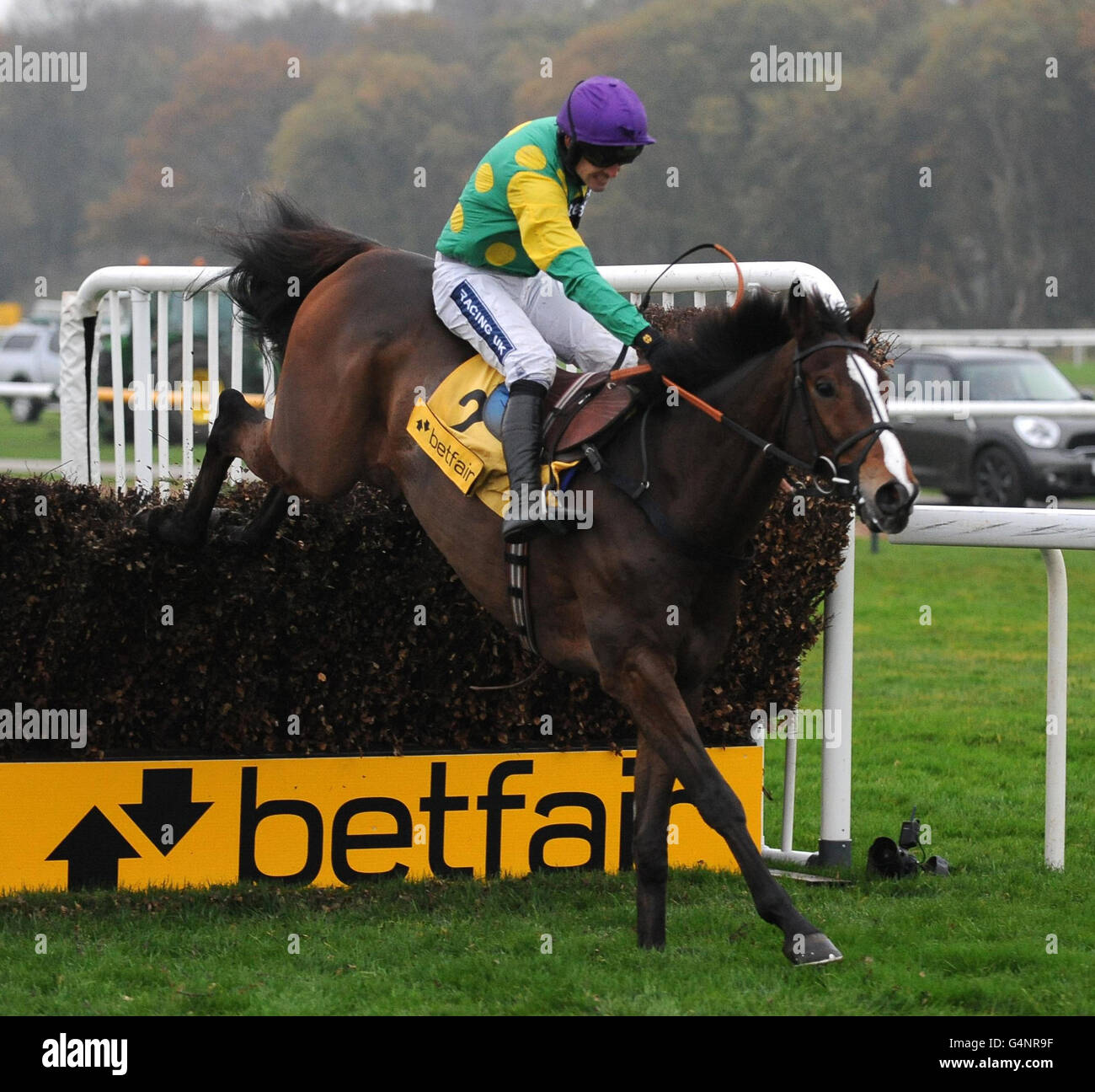 Horse Racing Betfair Chase Raceday Haydock Park Racecourse High ...