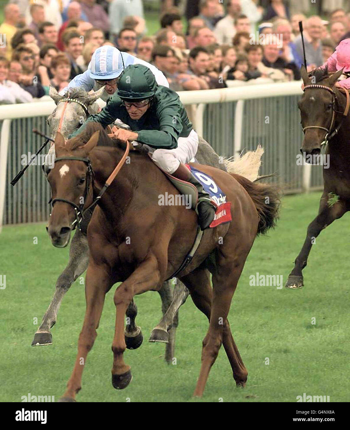 Pat eddery york hi-res stock photography and images - Alamy