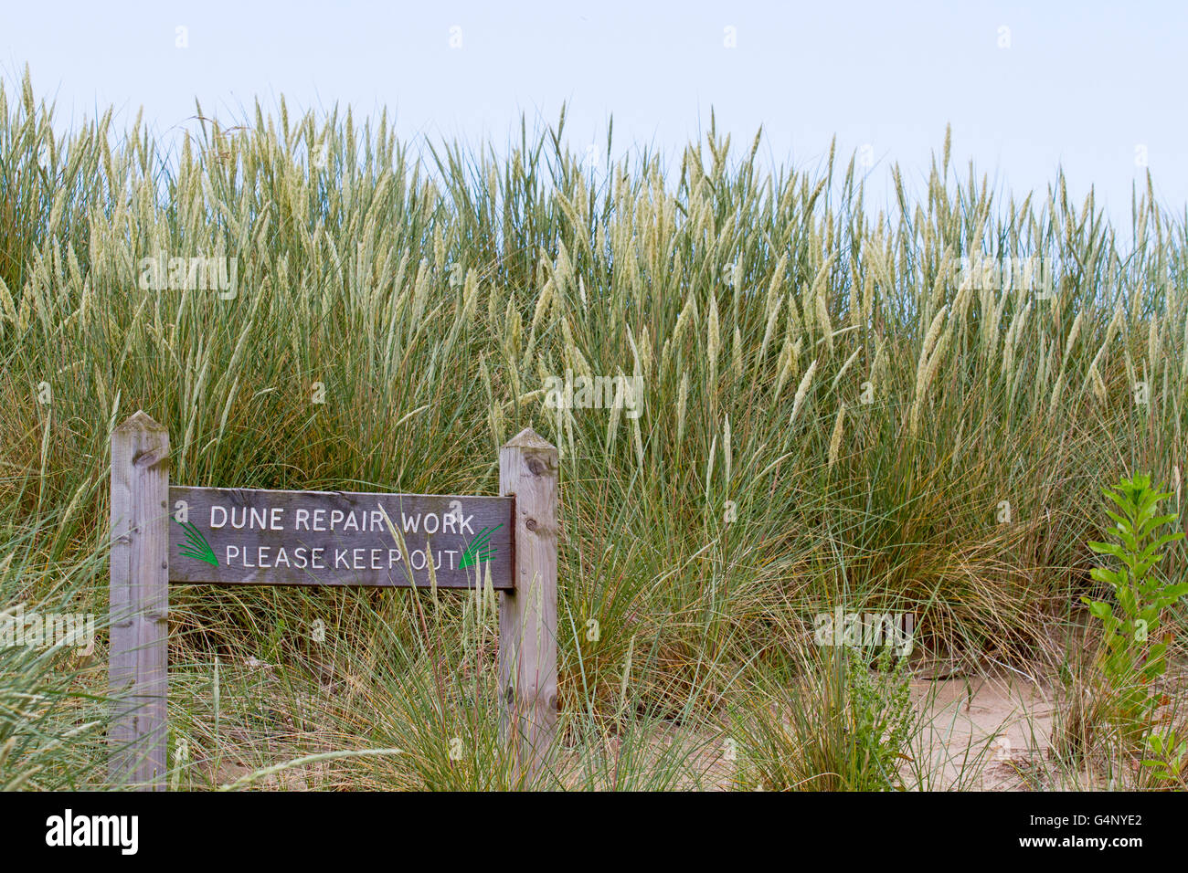 Please keep out. Sand Dune repair and conservation work sign on the ...