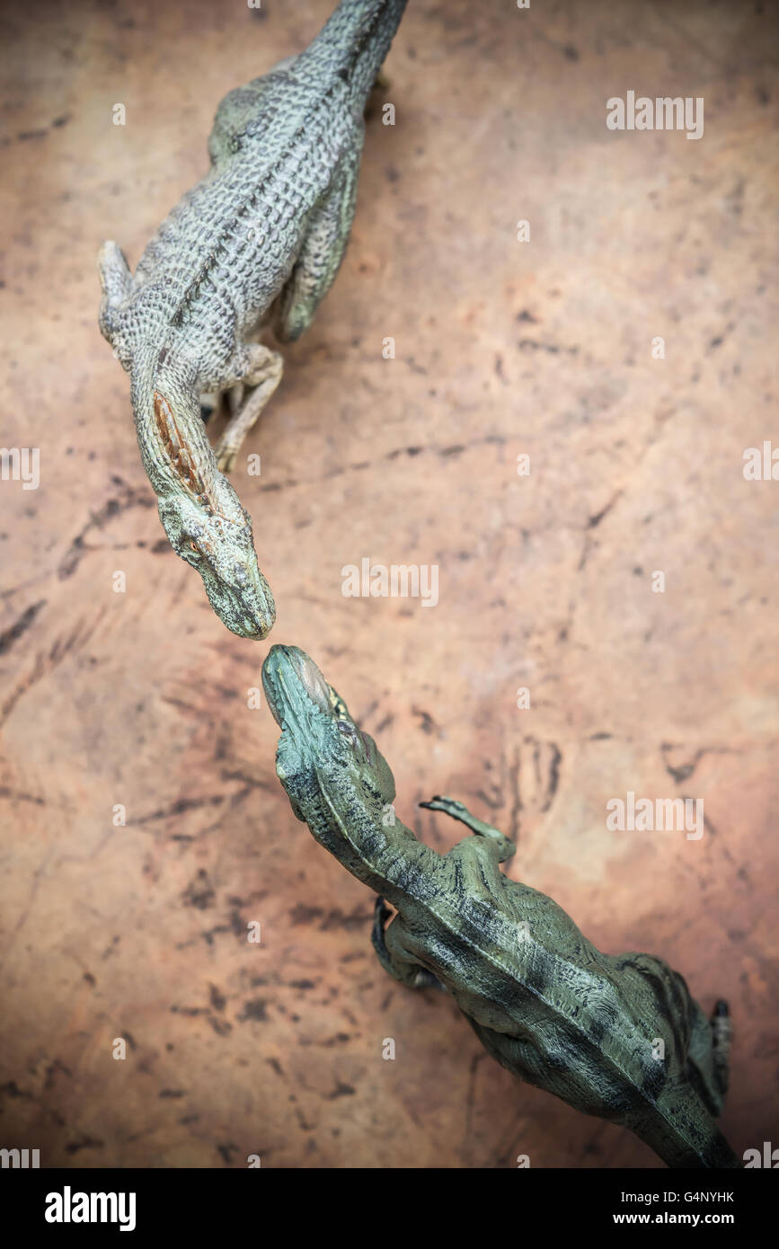 top view tyrannosaurus and allosaurus toy on rock Stock Photo - Alamy