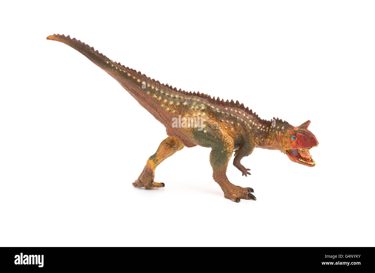 side view brown carnotaurus toy on a white background Stock Photo - Alamy