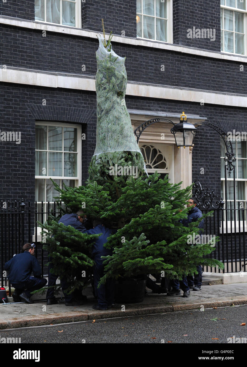 Number 10 christmas tree hi-res stock photography and images - Alamy