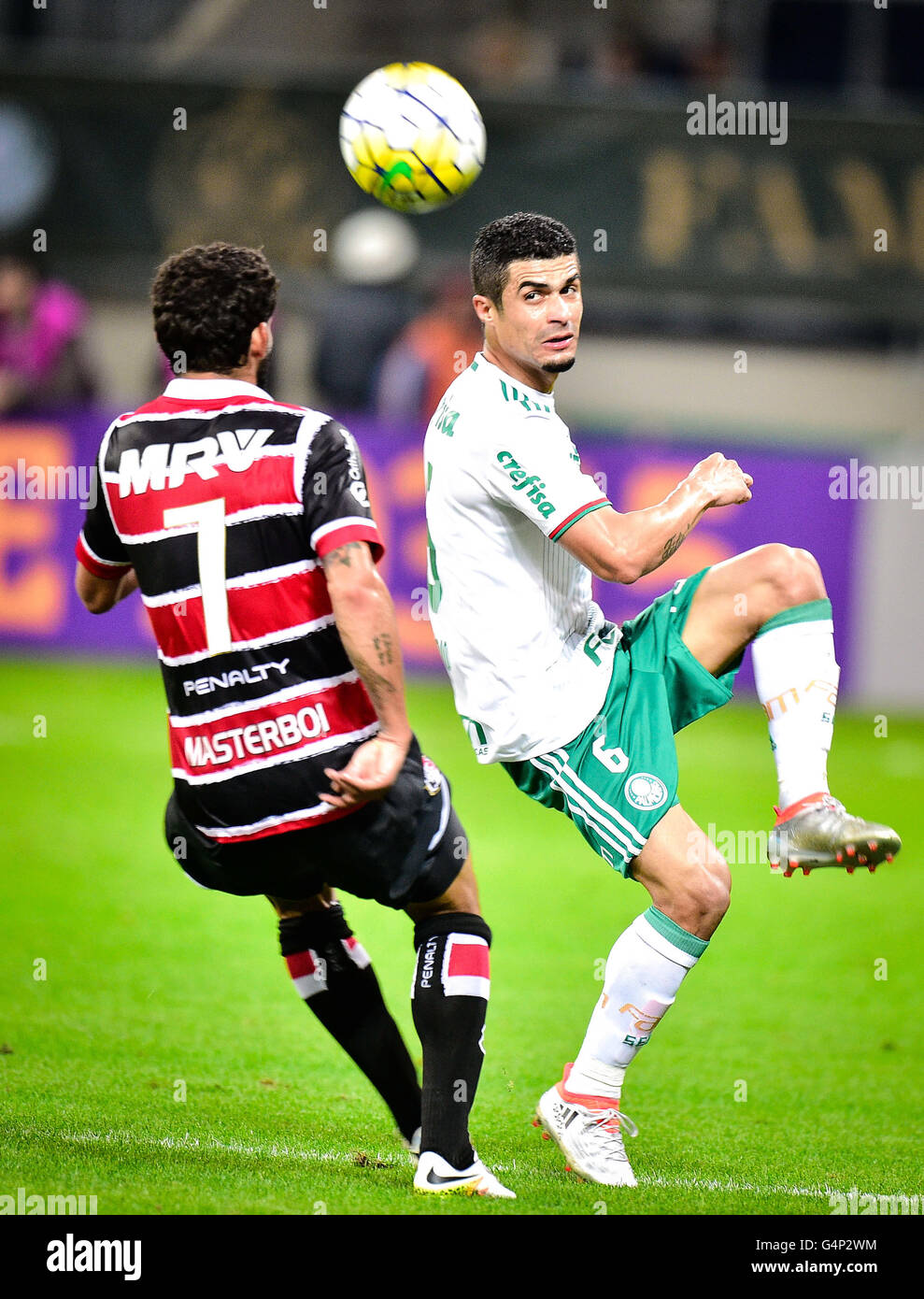 SAO PAULO, Brazil - 06/18/2016: PALM X SANTA CRUZ - players in the ...