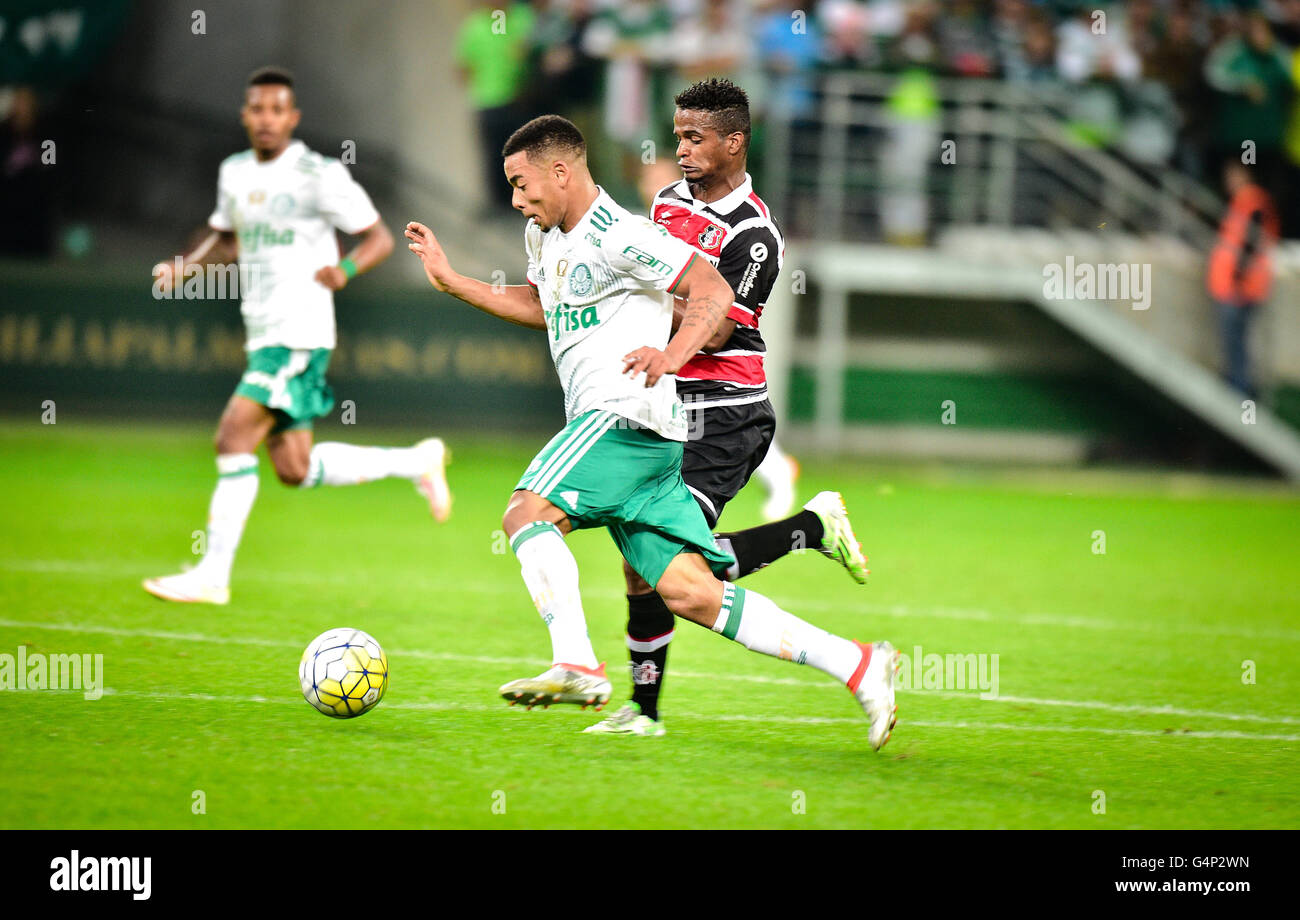 SAO PAULO, Brazil - 06/18/2016: PALM X SANTA CRUZ - players in the ...