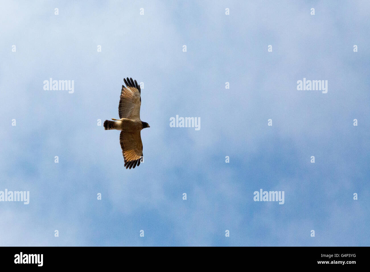 Downtown of black hawk hi-res stock photography and images - Alamy