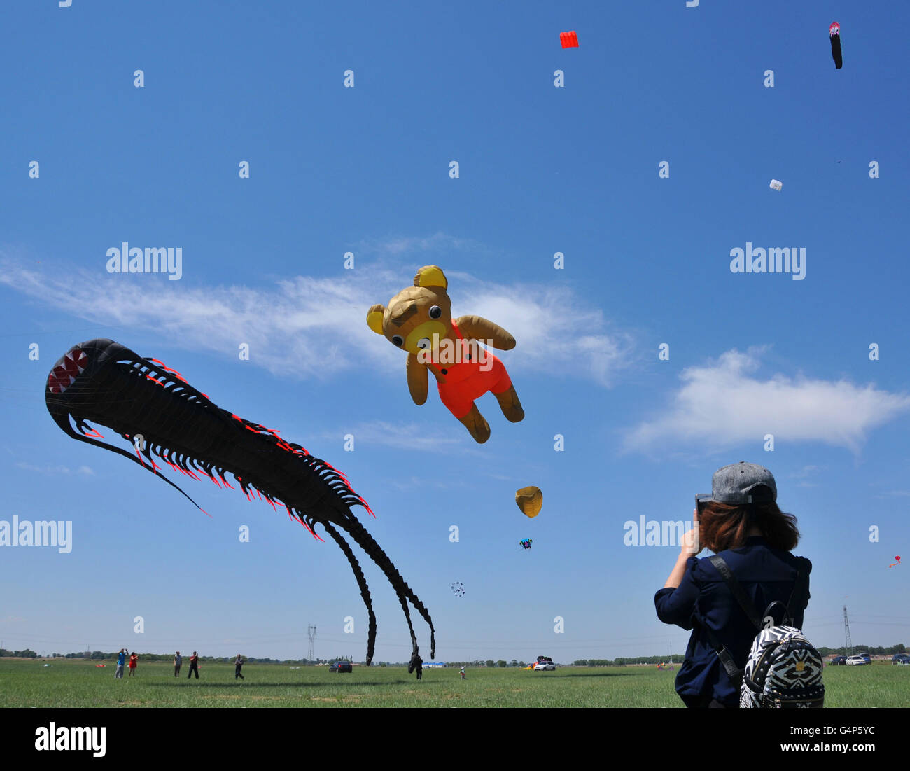 Hohhot, China's Inner Mongolia Autonomous Region. 18th June, 2016. A ...