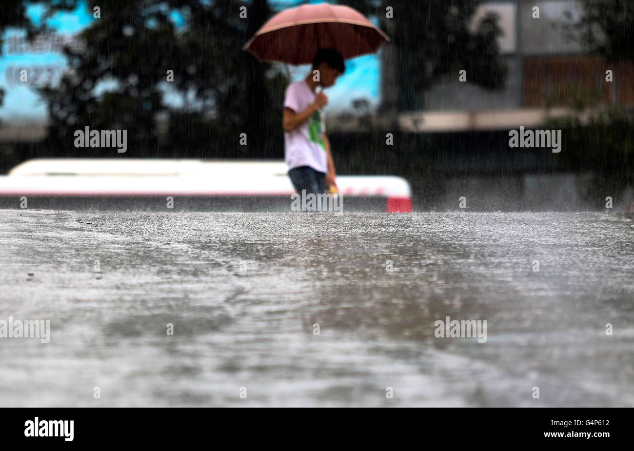 Chongqing, China. 19th June, 2016. A resident walks in rain in Jialing ...