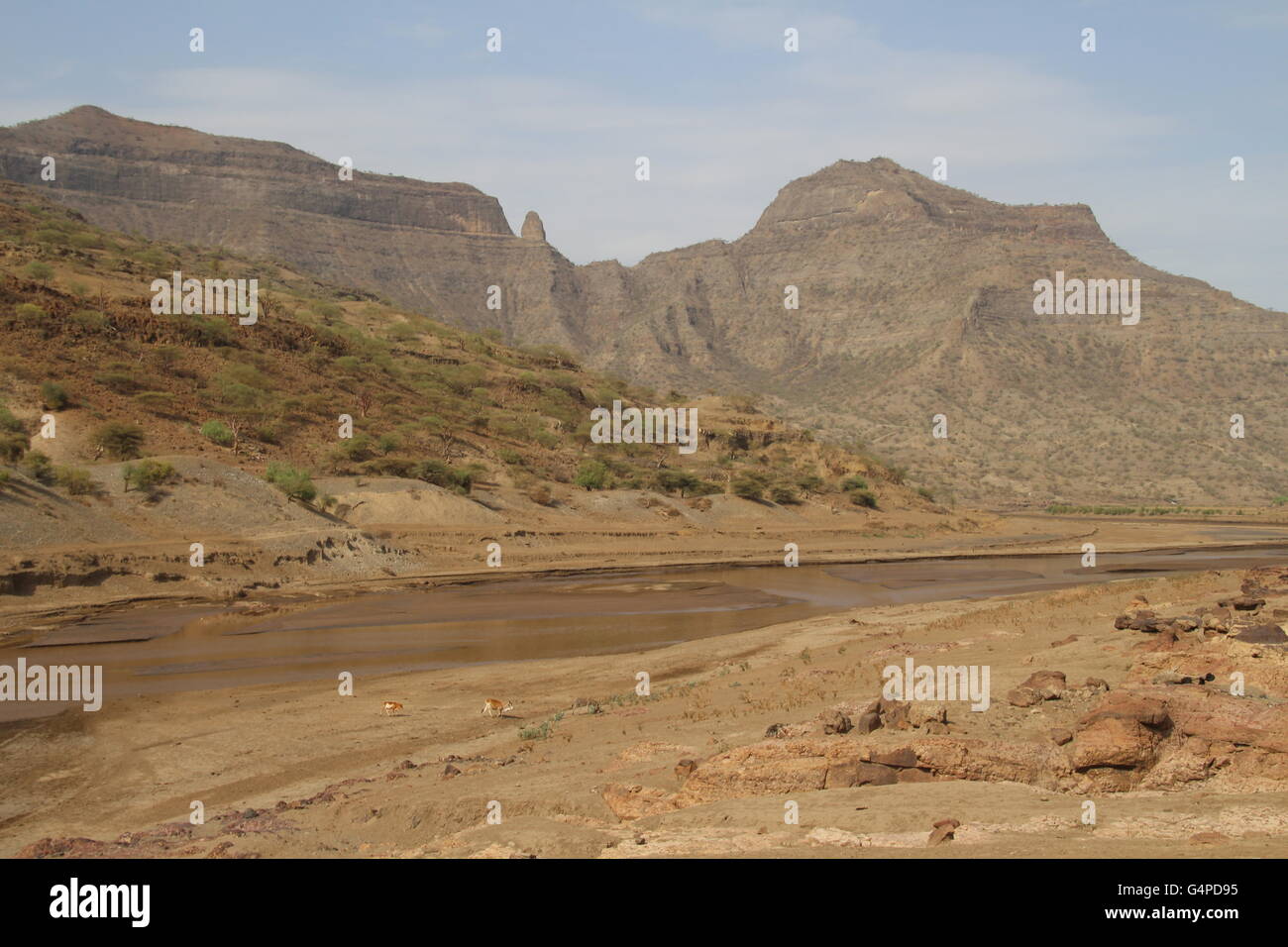 Sehala, Ethiopia. 5th June, 2016. View on the dry landscape on the way ...