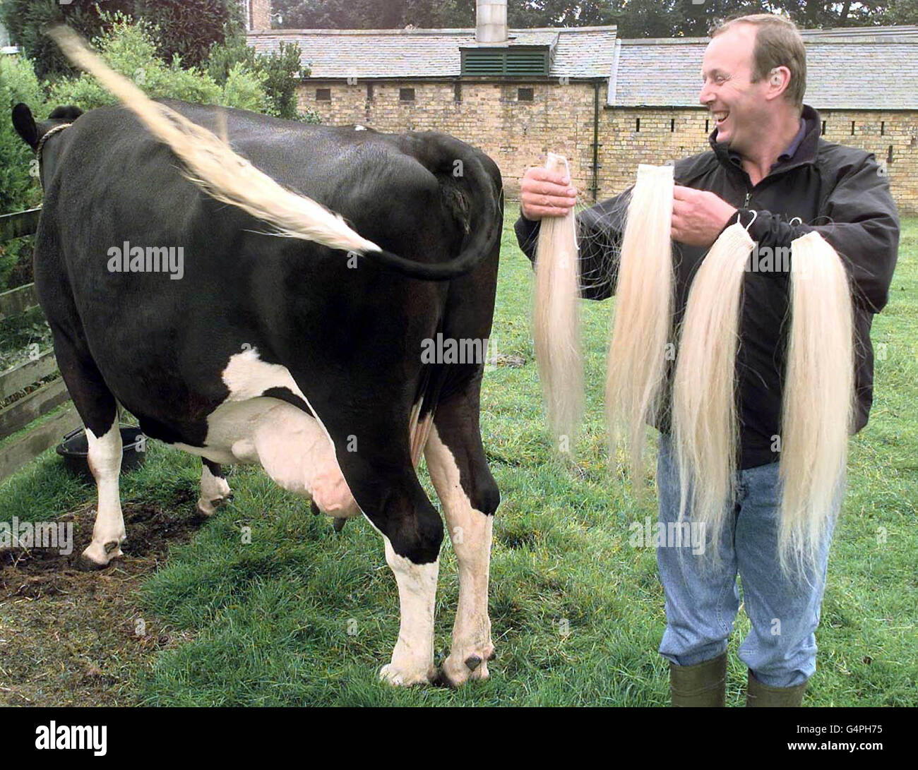 Animal/ Wigs 3 Stock Photo - Alamy