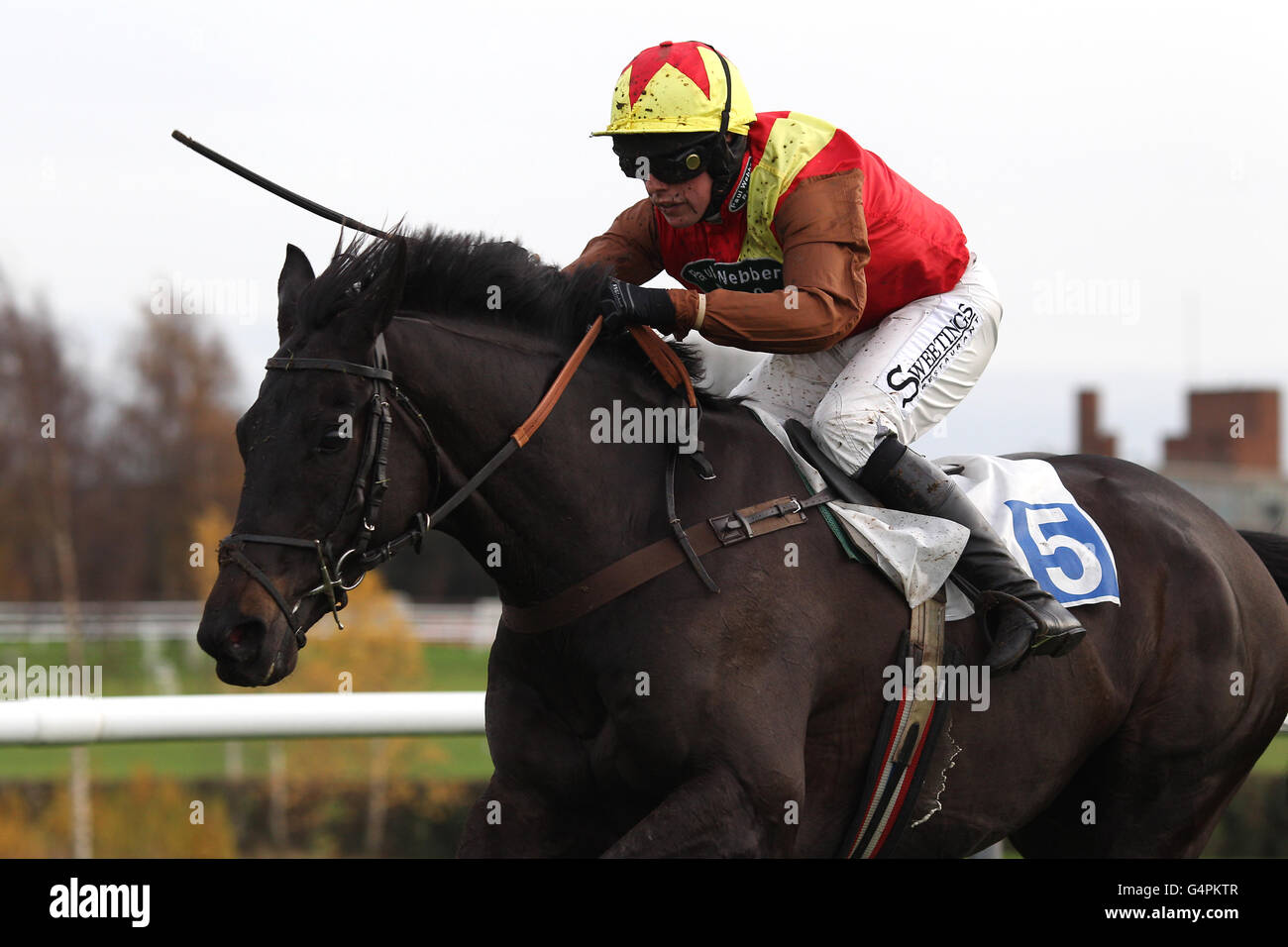 Jockey dominic elsworth hi-res stock photography and images - Alamy
