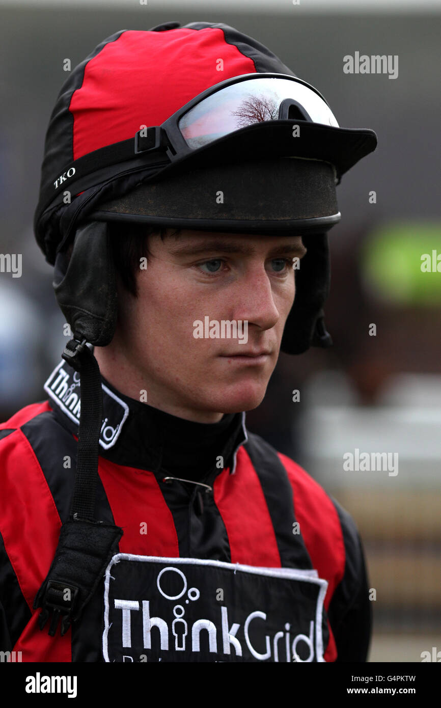 Christopher head race horse hi-res stock photography and images - Alamy