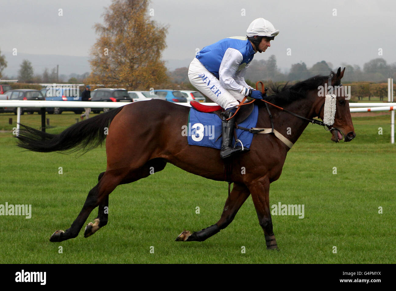 Horse Racing - Ludlow Racecourse Stock Photo - Alamy