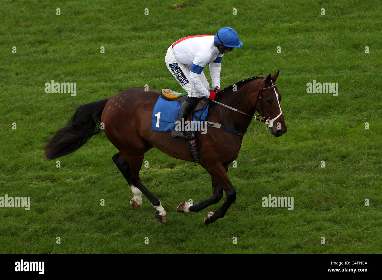 Horse Racing - Ludlow Racecourse. Basford Bob ridden by Alan O'Keefe ...