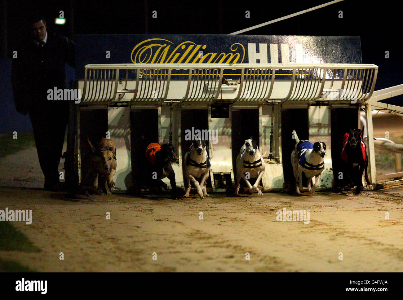 Greyhounds - Williamhill.com Oaks - Final - Wimbledon Greyhound Stadium ...