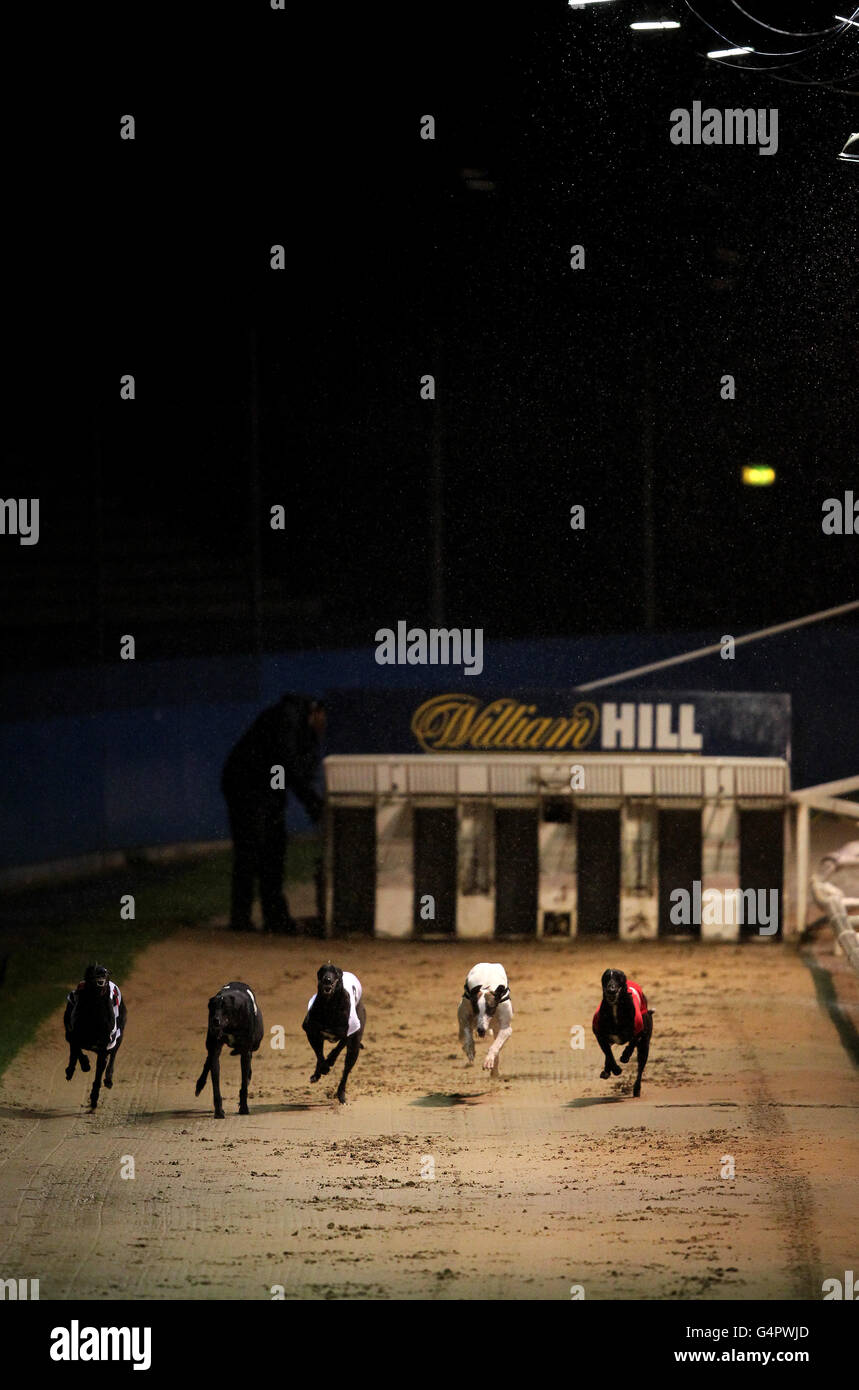 Action on the track at wimbledon greyhound stadium hi-res stock ...