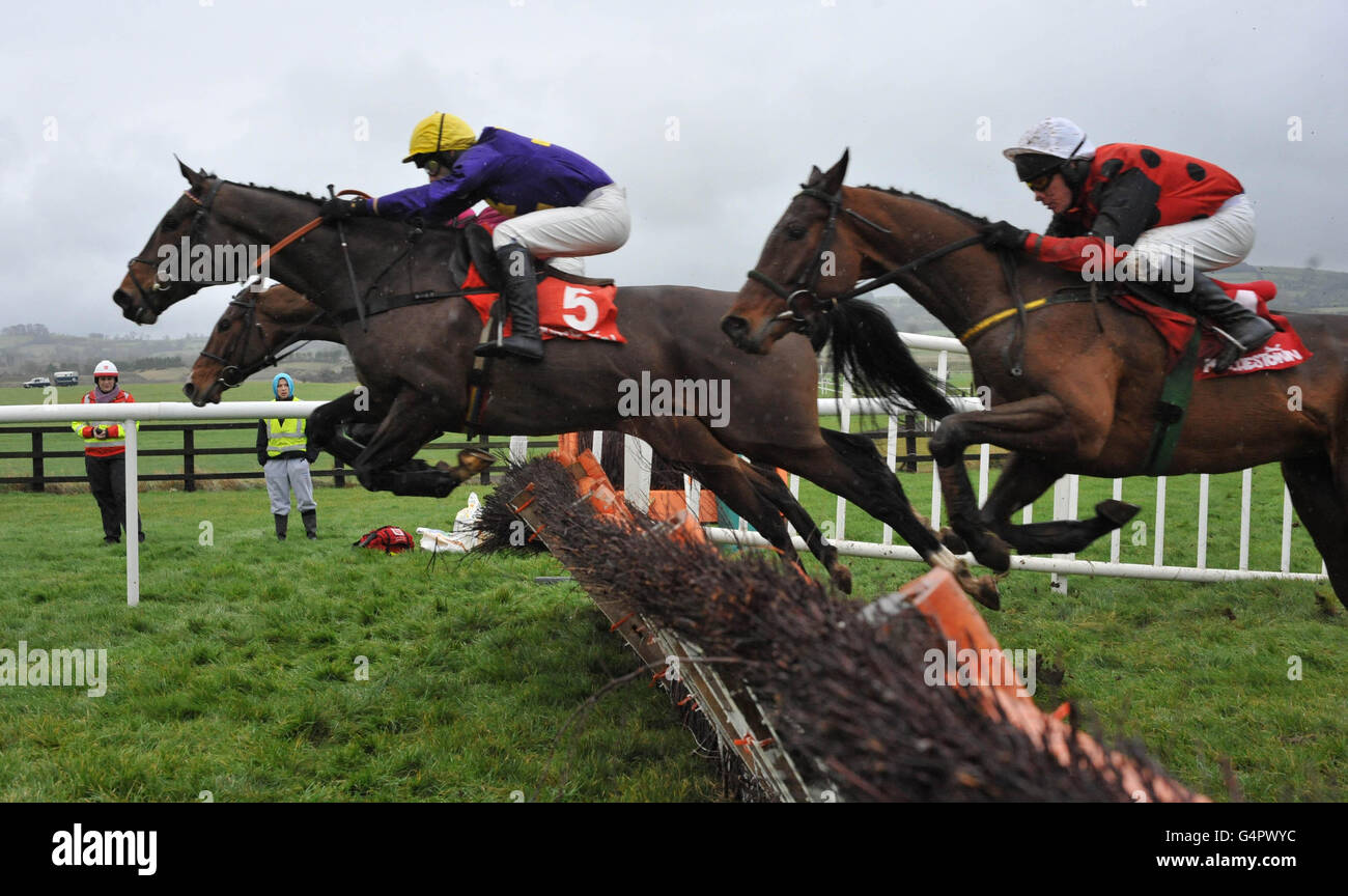 Lord Windermere ridden by Tom Doyle (left) goes on to win the I.N.H ...