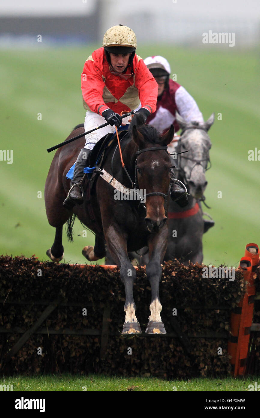 Horse Racing - John Smith's Raceday - Sedgefield Racecourse Stock Photo ...