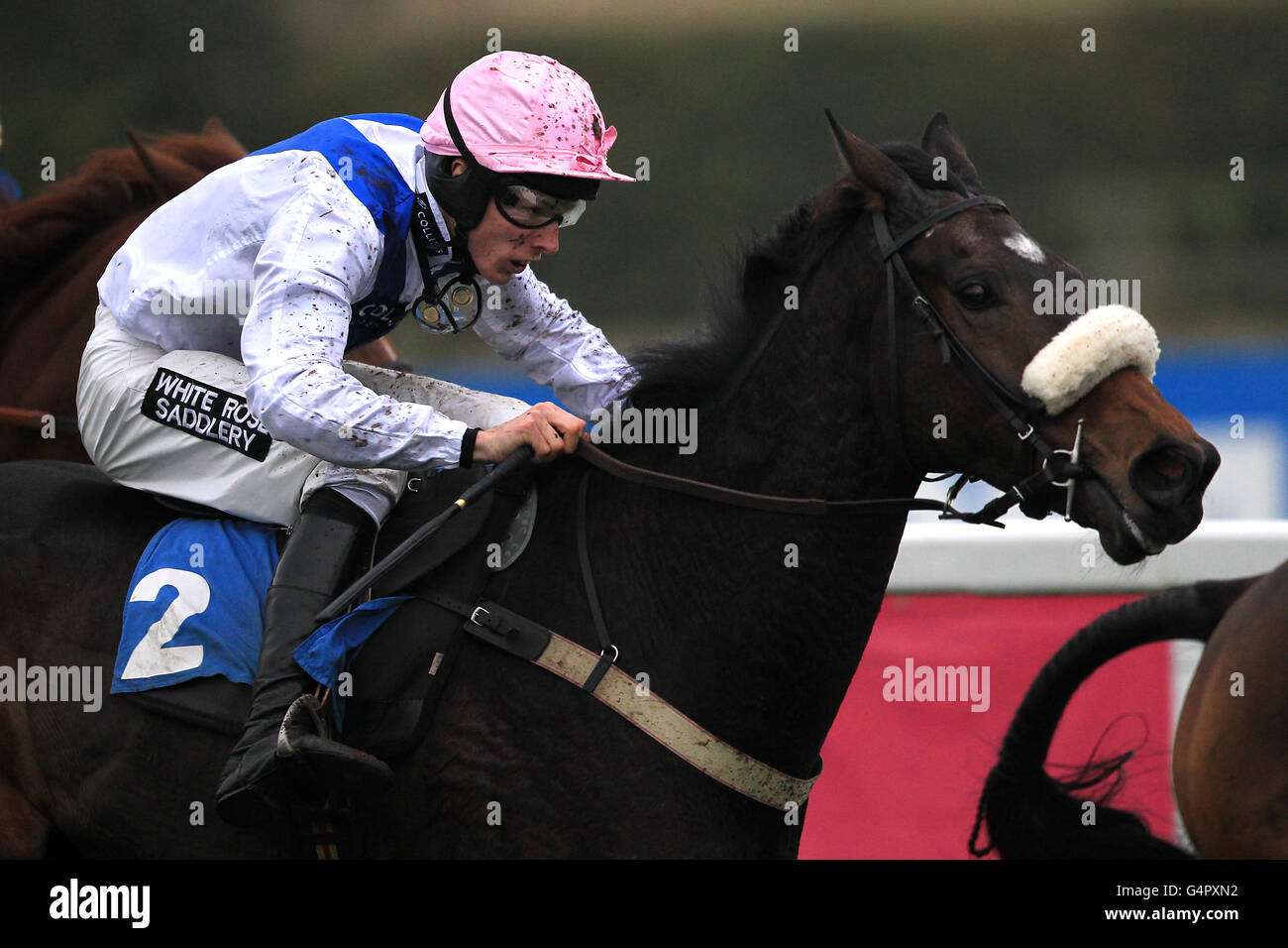Horse Racing - John Smith's Raceday - Sedgefield Racecourse Stock Photo ...