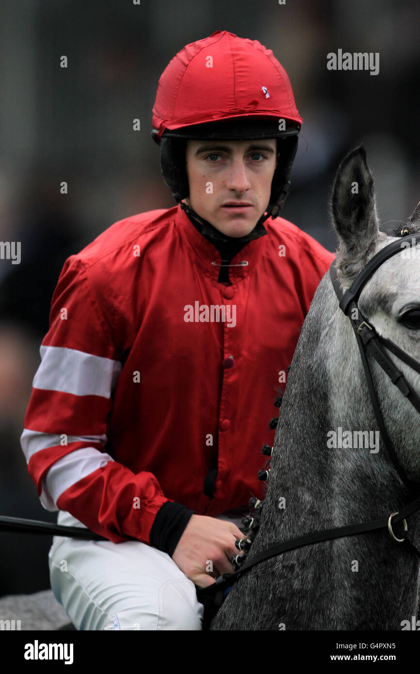 Horse Racing - John Smith's Raceday - Sedgefield Racecourse. Jockey ...
