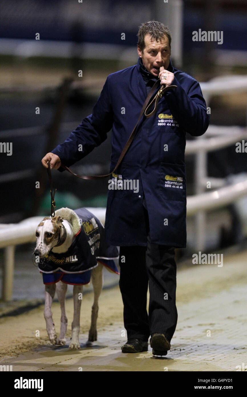 Greyhounds - Williamhill.com Oaks - Final - Wimbledon Greyhound Stadium ...