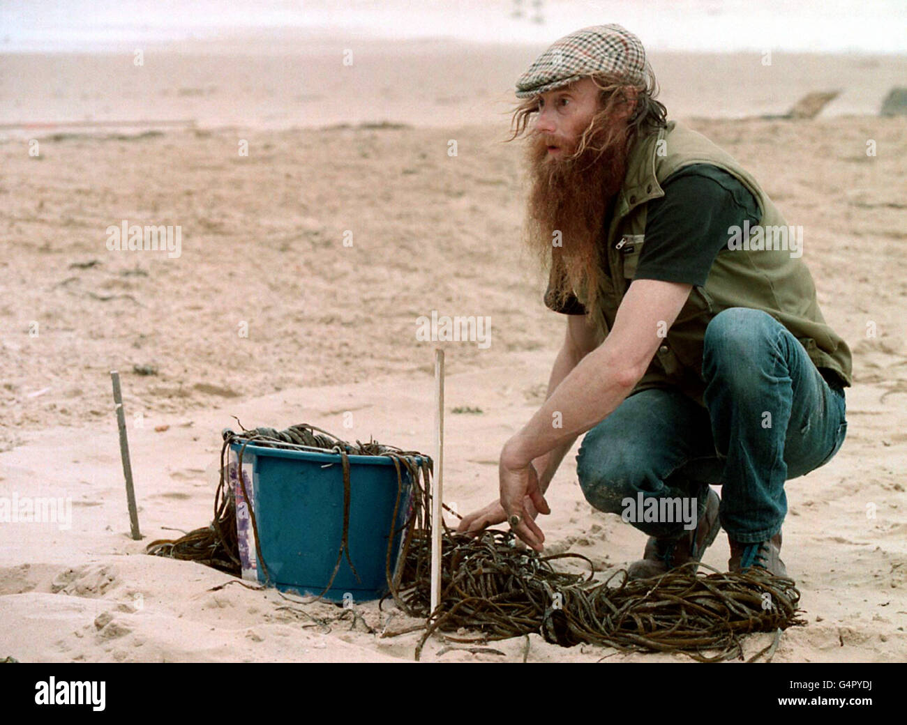 Landscape artist Simon English works on his giant landscape cartoon of ...