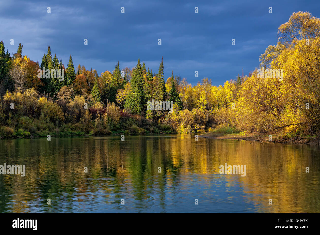 River in siberian taiga hi-res stock photography and images - Alamy