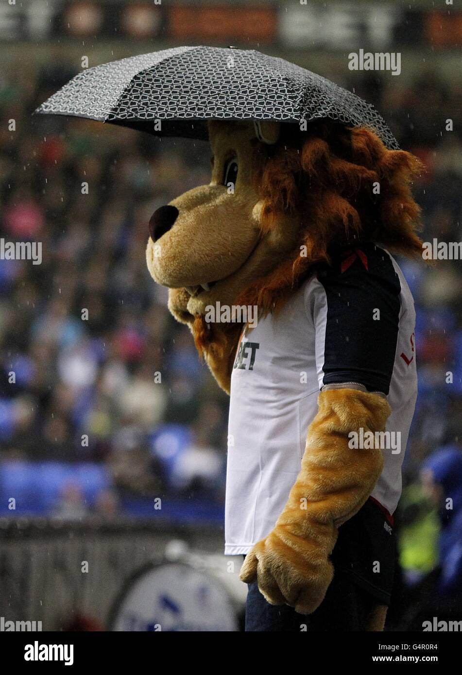 Lofty the lion hi-res stock photography and images - Alamy
