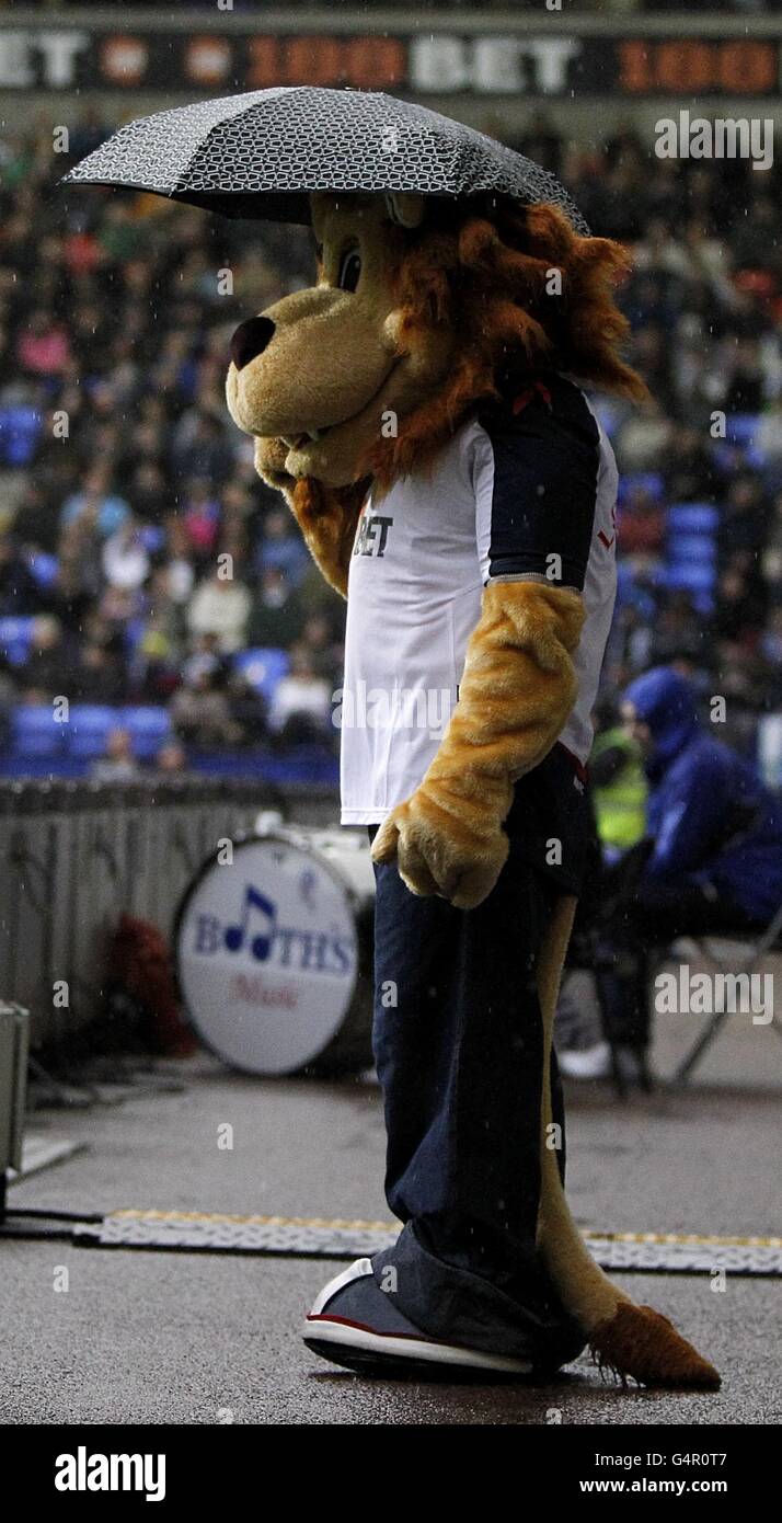 Bolton wanderers mascot lofty lion hi-res stock photography and images ...