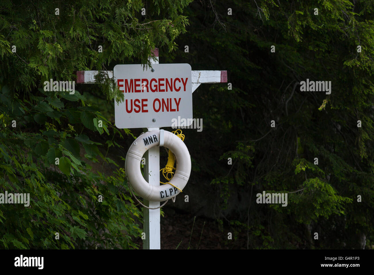 lifebuoy, ring buoy, lifering, lifesaver, life donut, life preserver ...