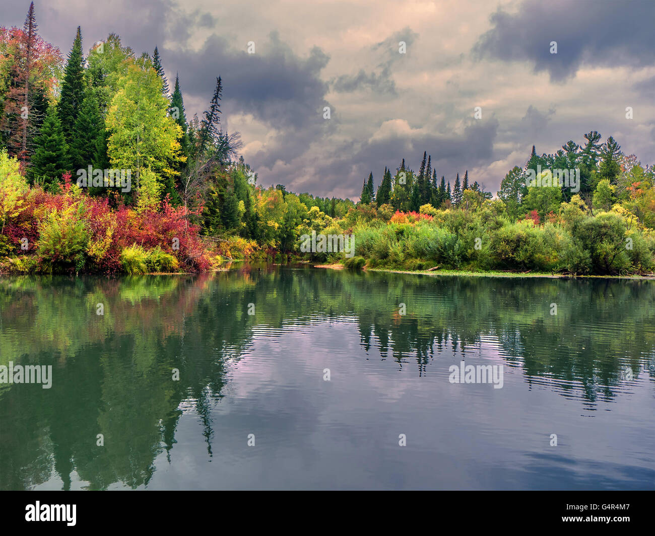 Autumn evening in wild Siberian taiga Stock Photo - Alamy