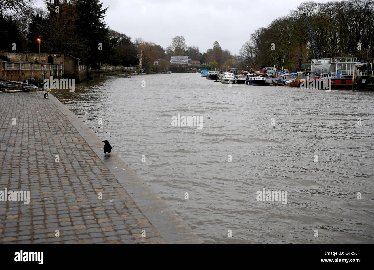 River Thames runs dry Stock Photo - Alamy