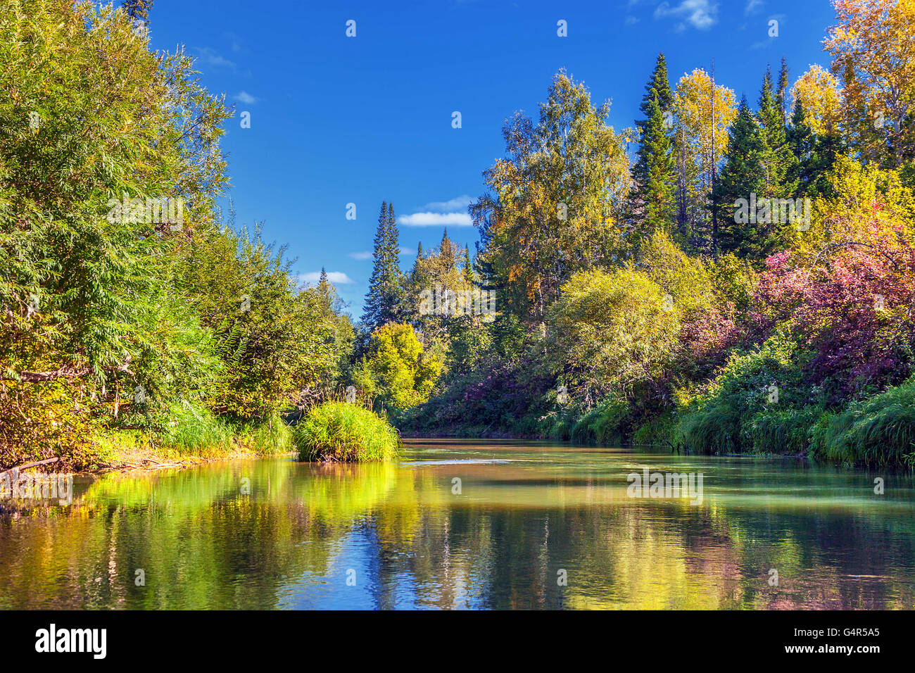 Tomsk region hi-res stock photography and images - Alamy
