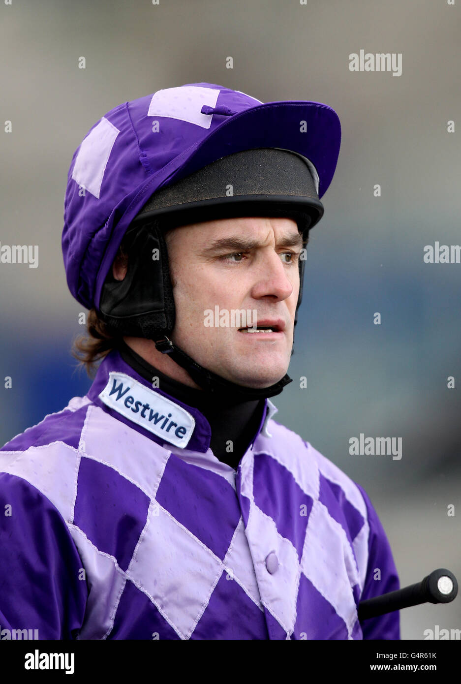 Azebra hi-res stock photography and images - Alamy