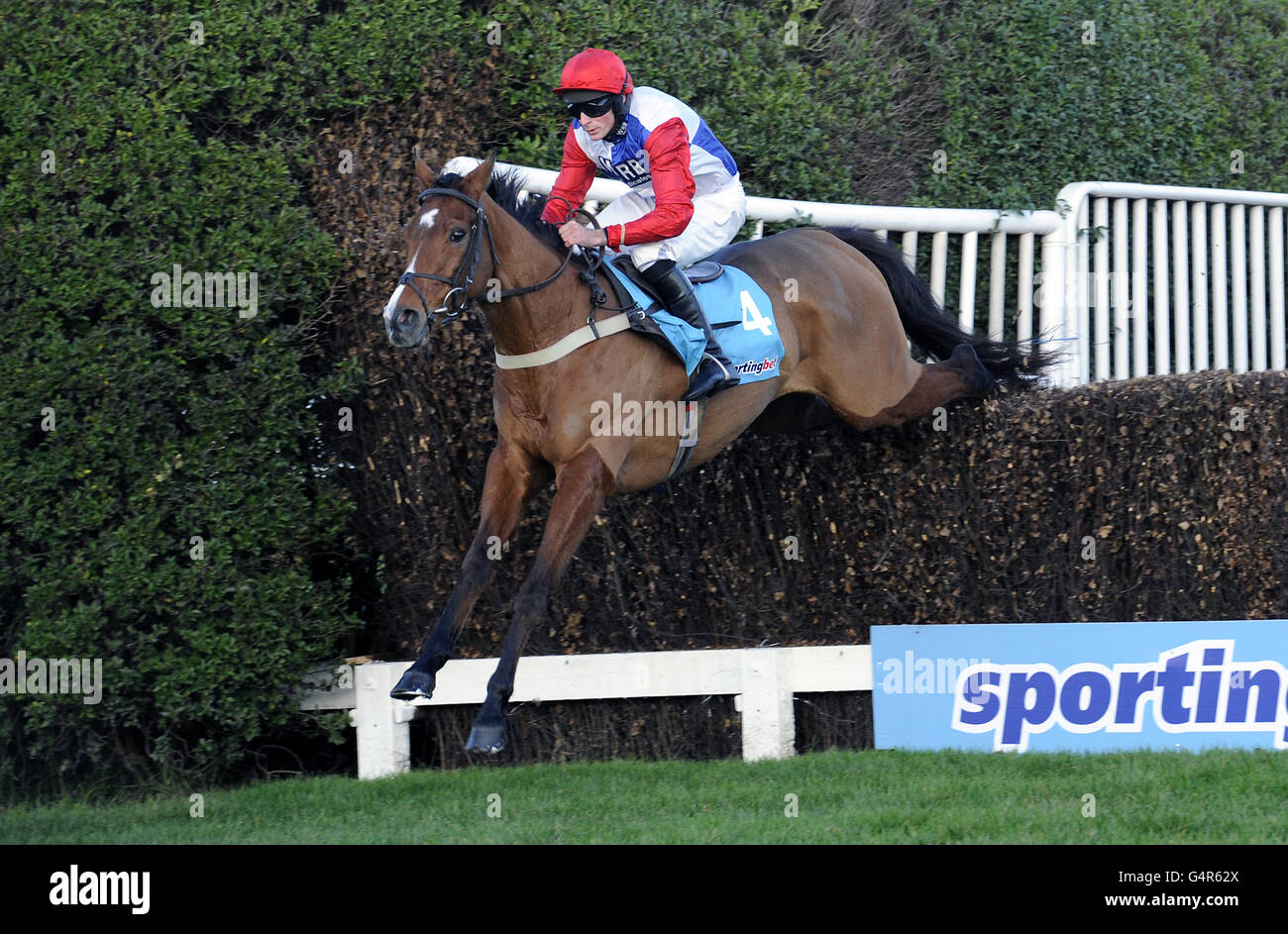 Golan Way, ridden by Marc Goldstein jumps a fence on the way to winning ...