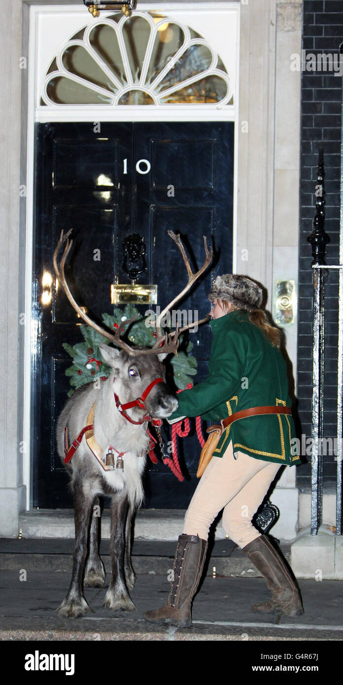 Handler angela flint matti reindeer outside door 10 downing street hi ...
