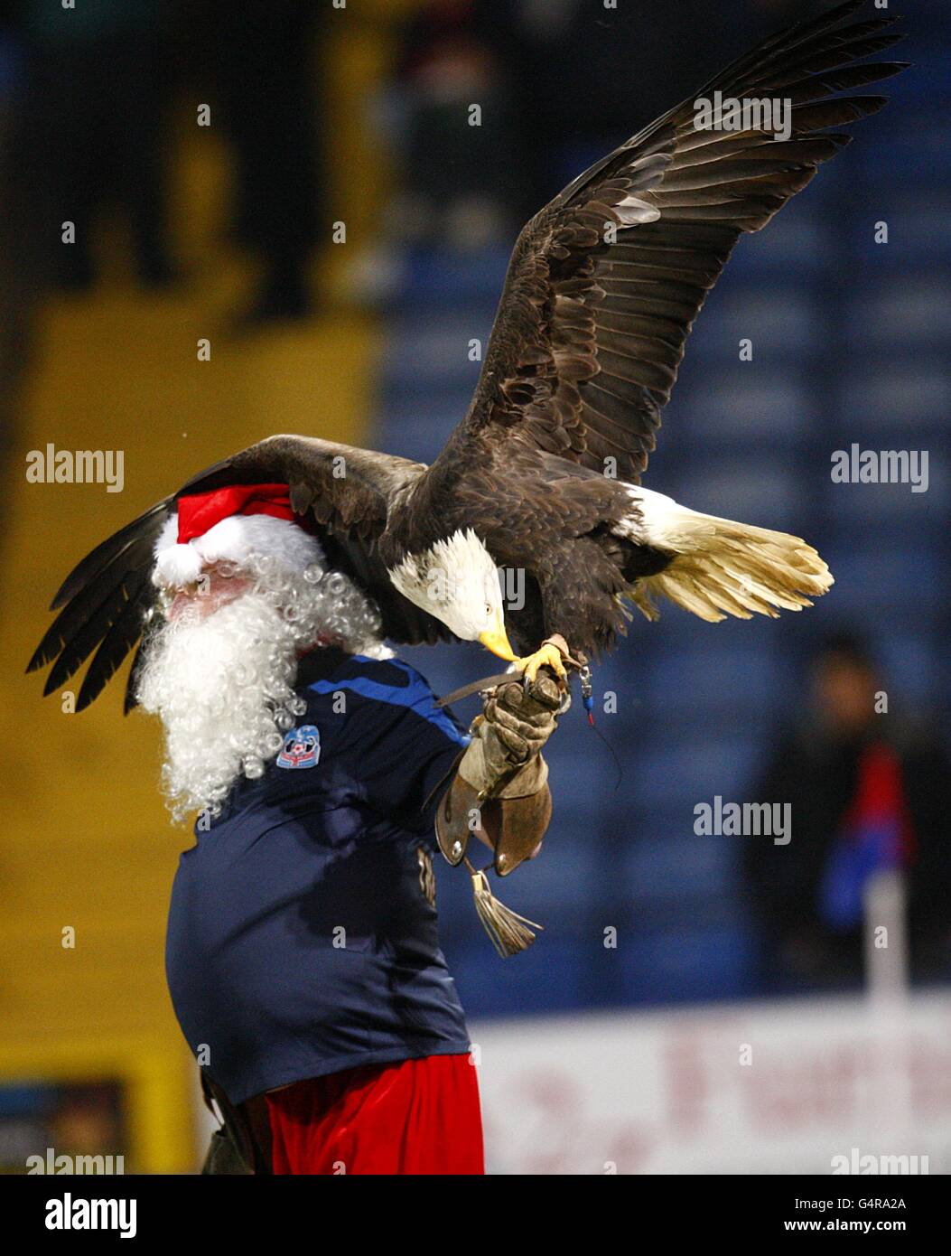 Crystal Place mascot Kayla, the North American Bald Eagle, appears with ...