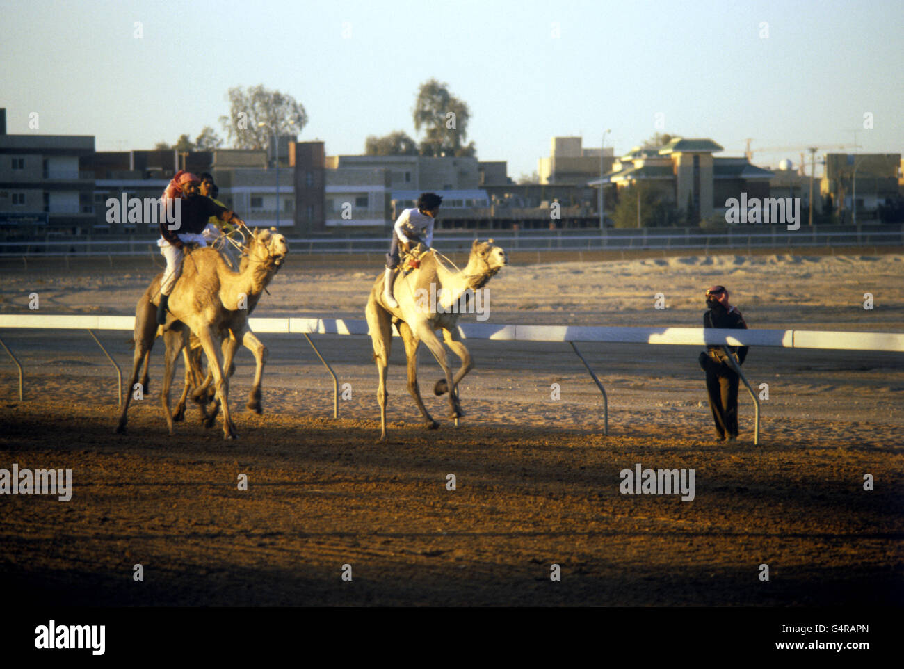 Camel racing in Riyadh, one of the events watched by Queen Elizabeth II ...
