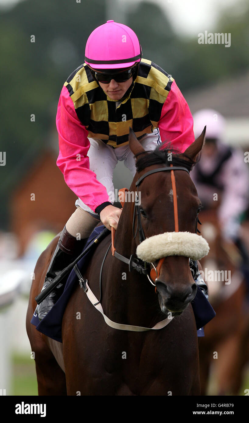 Horse Racing - Ebor Festival 2011 - Coolmore Nunthorpe - York ...
