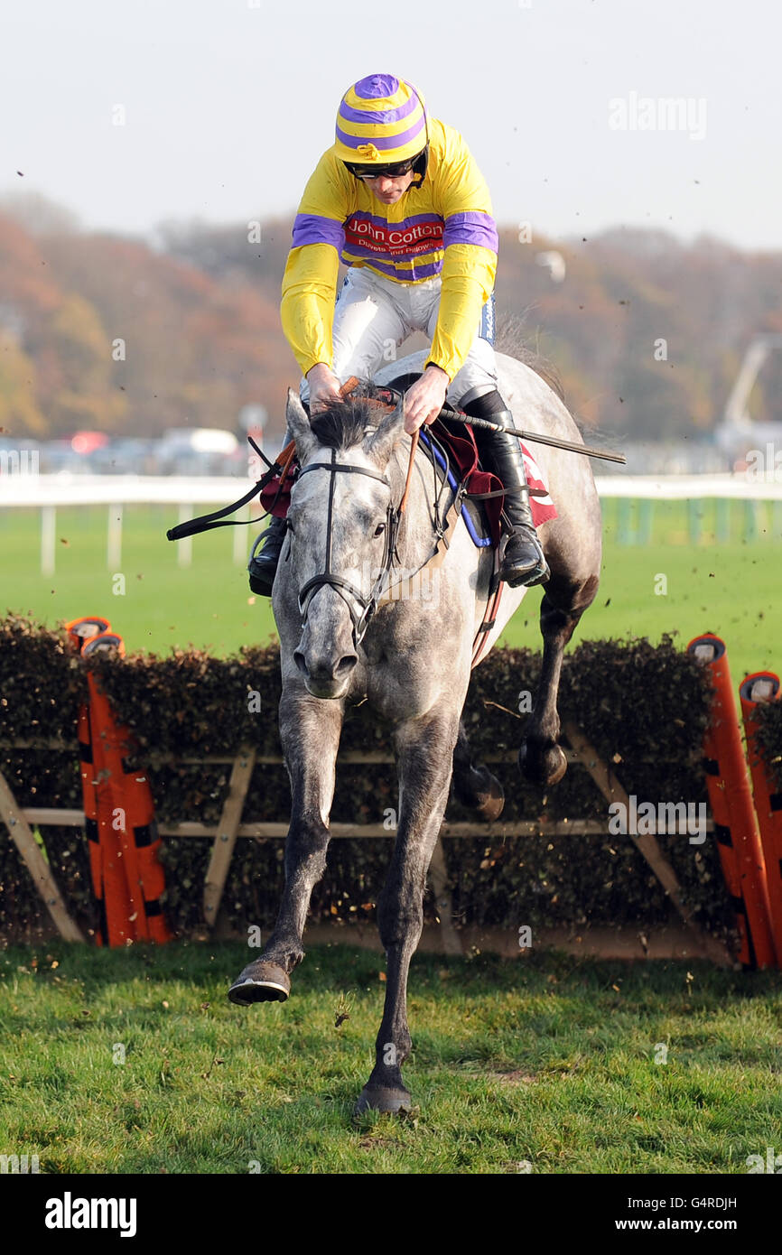Horse Racing Betfair Chase Raceday Haydock Park Racecourse High ...
