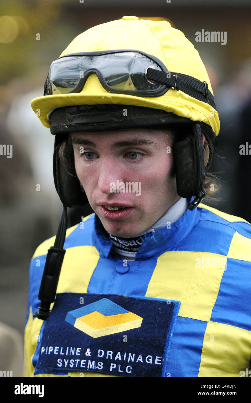 Horse racing betfair chase raceday haydock park racecourse hi-res stock ...