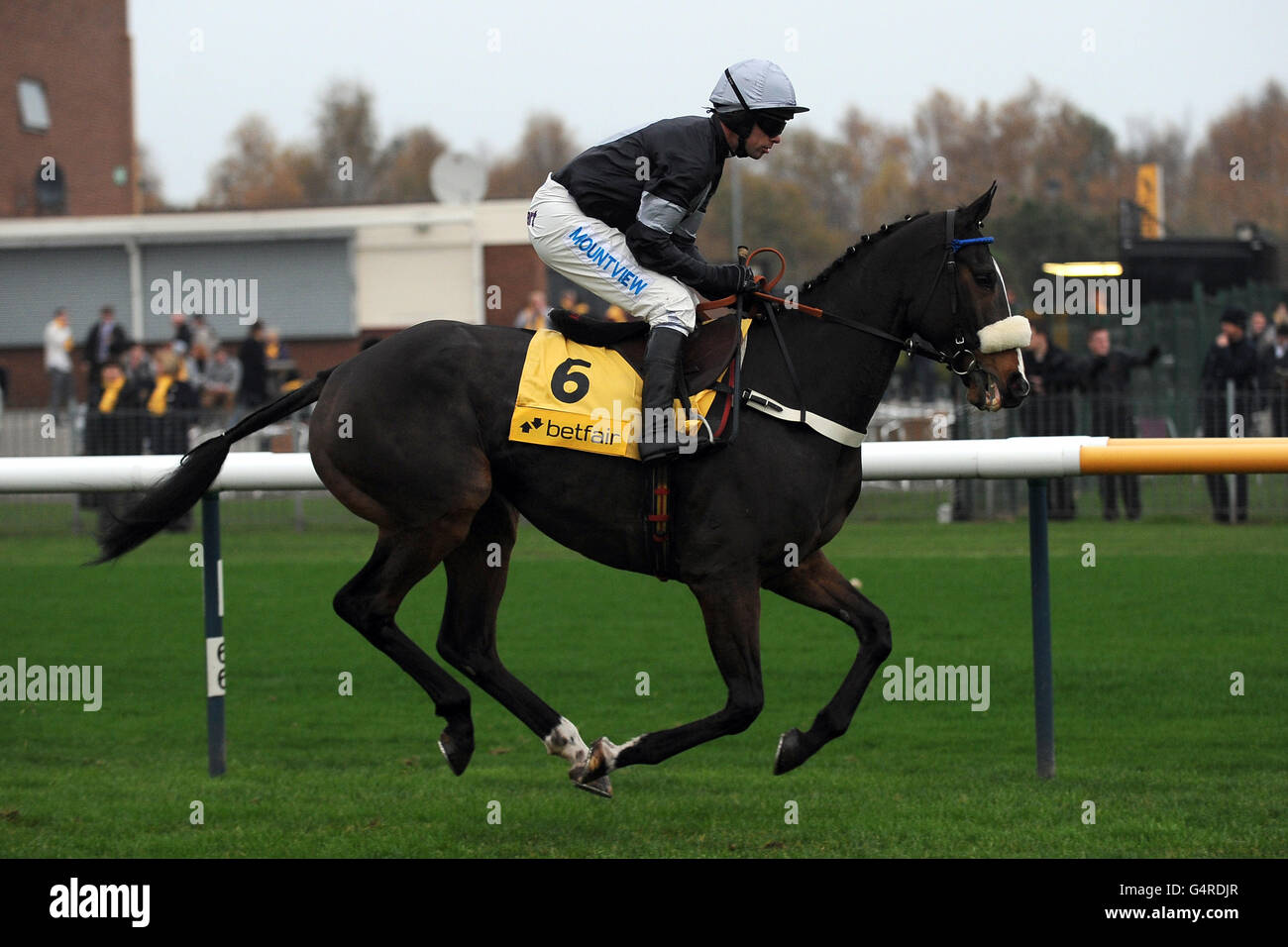 Horse racing betfair chase raceday haydock park racecourse hi-res stock ...