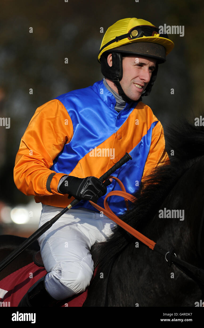 Horse racing betfair chase raceday haydock park racecourse hi-res stock ...