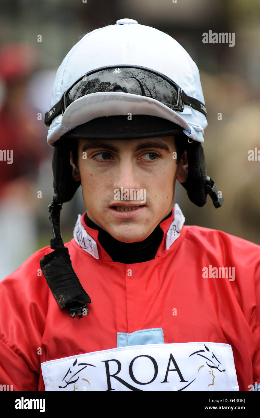 Horse racing betfair chase raceday haydock park racecourse hi-res stock ...