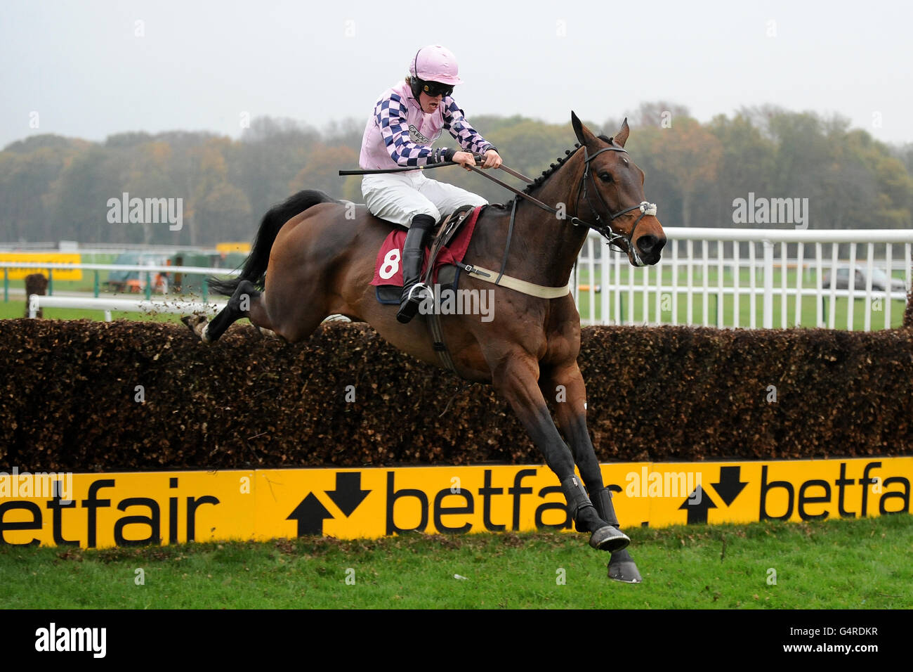 Messenger horse hi-res stock photography and images - Alamy